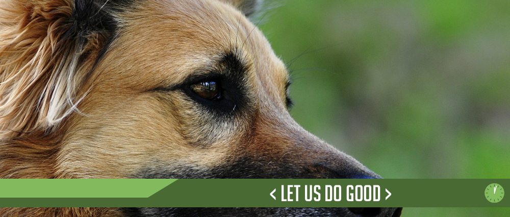 Let Us Do Good - Two Minute Theology