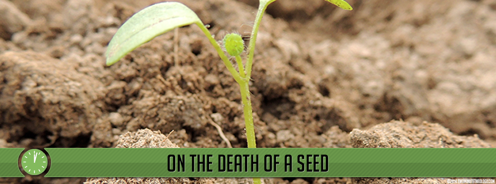 On the Death of a Seed - Two Minute Theology