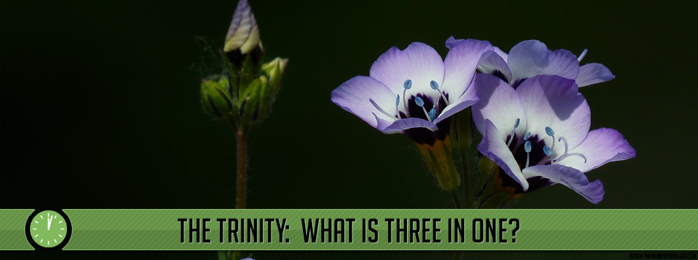 The Trinity: What is Three in One? - Two Minute Theology